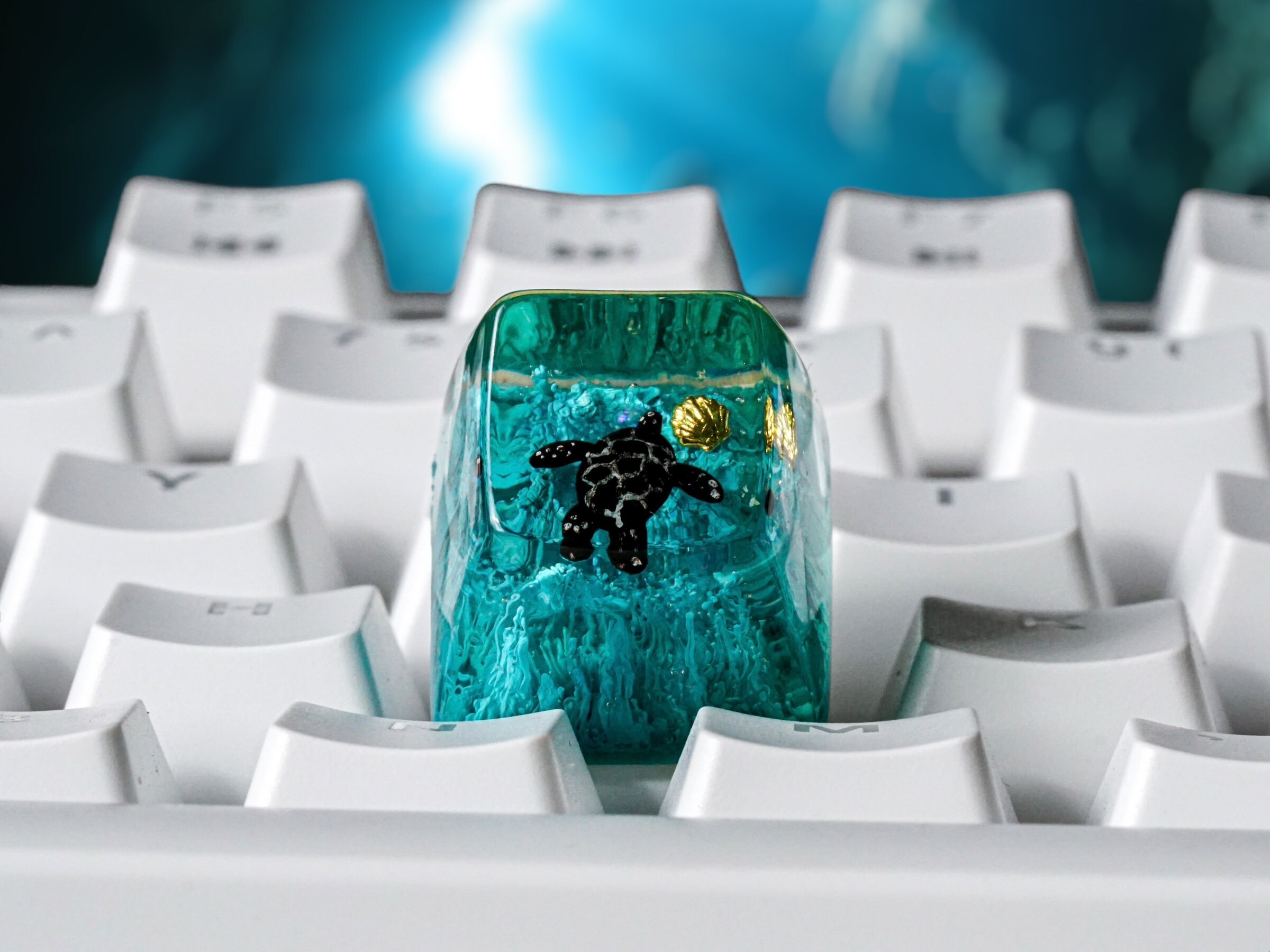 Black Turtle Keycap, Orange Blue Coral, SA Profile Keycap, Keycap for ...