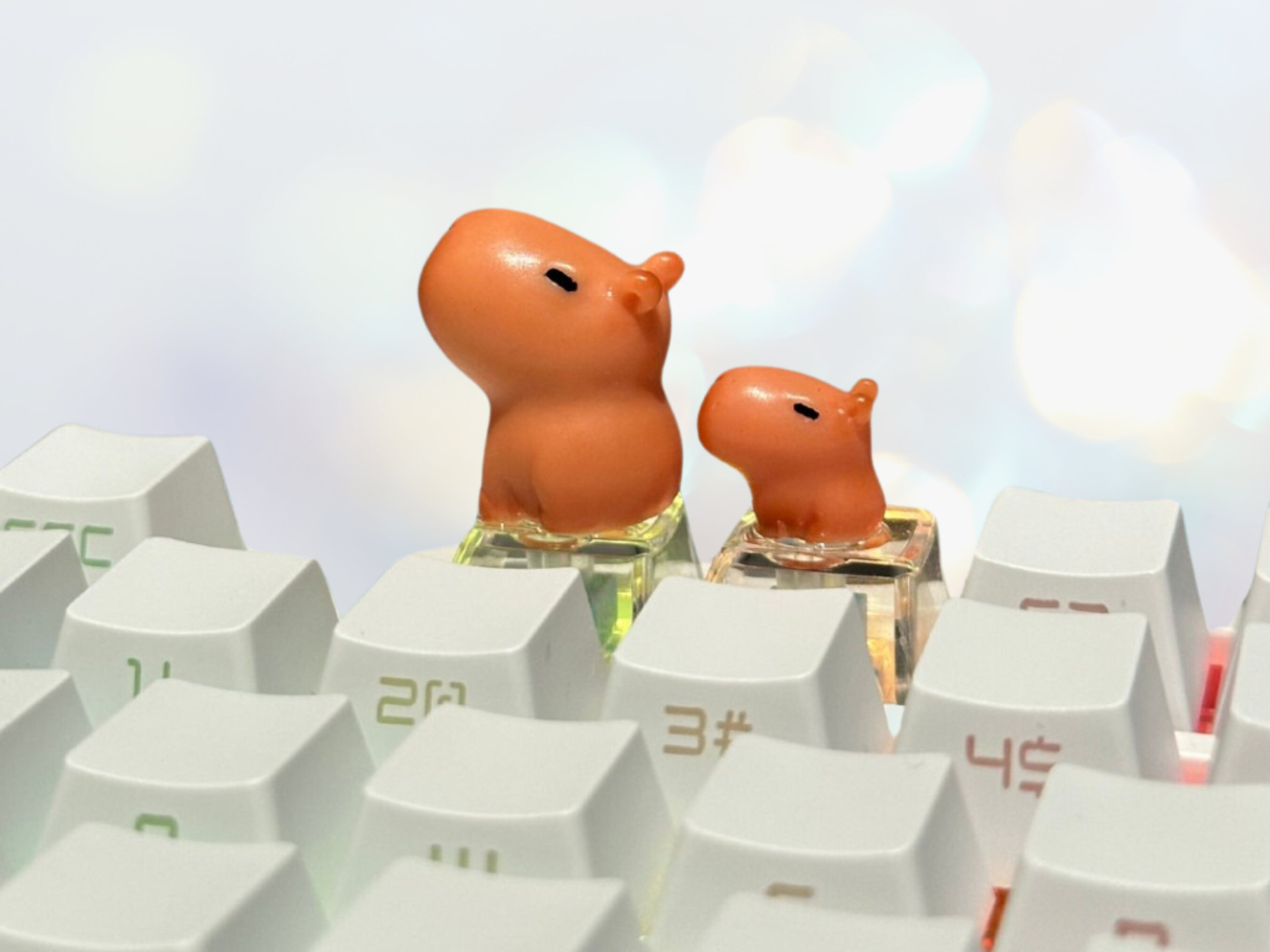 Capybara Keycap, Funny Keycap, Artisan Keycap, Keycap for MX Cherry ...